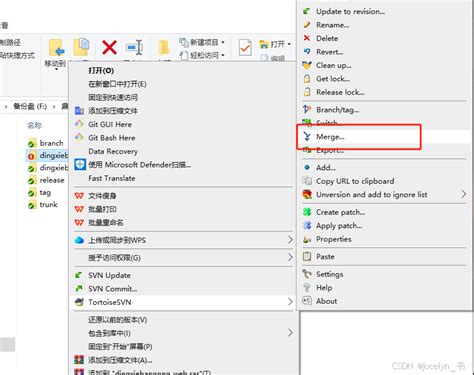 svn分支相关操作（小乌龟操作版） svn小乌龟 csdn博客