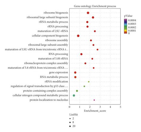 A String Database Analyzing Gtpbp4 Protein Interaction Network Download Scientific Diagram