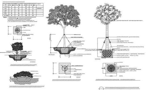 D Block Of Tree Blocks With Color Design Drawing Cadbull