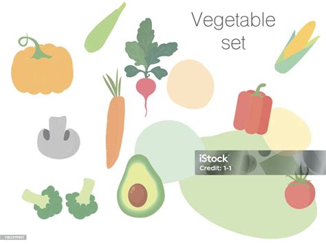 아보카도 무 골수 후추 옥수수 브로콜리 당근 샴페인 호박 유기농 천연 야채의 토마토 스케치 홍보를위한 다채로운 벡터 일러스트레이션농업 테마 농장 시장라벨 디자인 가지 채소에
