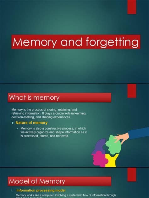 memory and forgetting pdf memory long term memory