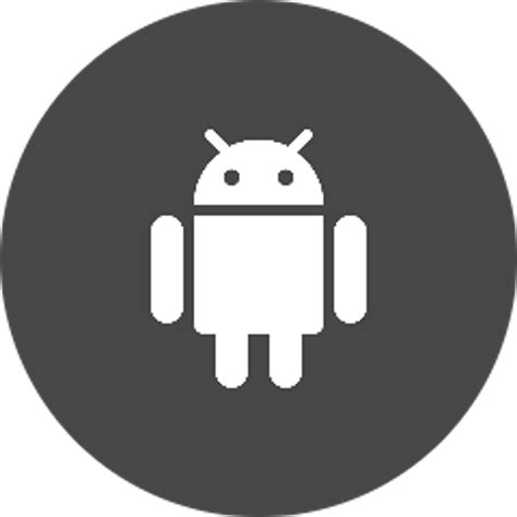 Flutter Ionic Firebase App Development Company India Usa