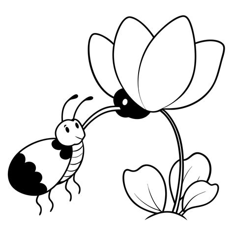 A Butterfly Is Extracting Nectar From A Cyclamen Flower Illustration Line Art 51001487 Vector