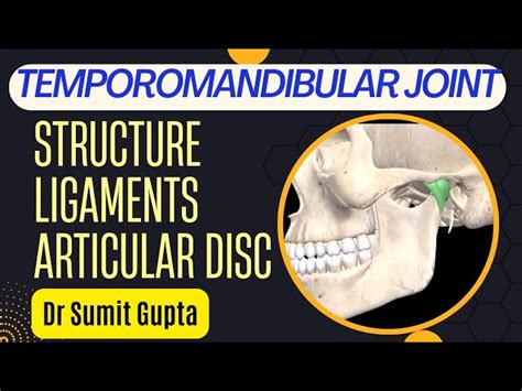 Temporomandibular Joint Anatomy Ppt