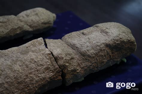 ФОТО Евразид маш ховорт тооцогдох Монголоос олдсон археологийн олдворуудыг дэлгэлээ