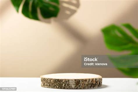 중립 베이지 색 배경에 최소한의 현대 제품 디스플레이 나무 슬라이스 연단과 녹색 열대 잎 0명에 대한 스톡 사진 및 기타 이미지 0명 3차원 형태 강단 Istock