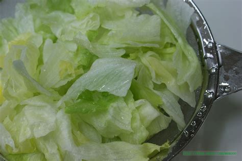 간단 양상추 샐러드 만드는 법