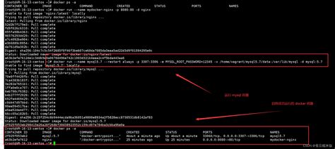 前端开发从 0 到 1 掌握 docker