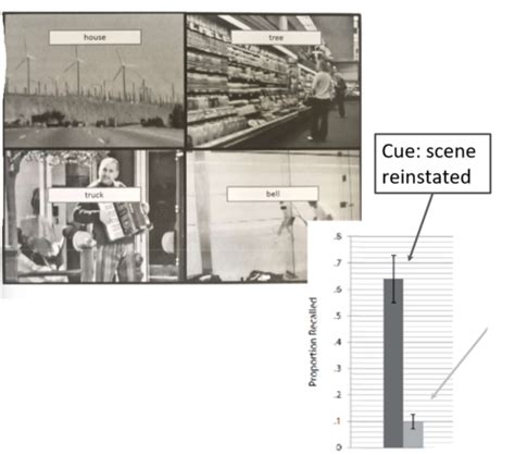 Cog Psych 14 Memory 2 Using It Not Losing It Flashcards Quizlet