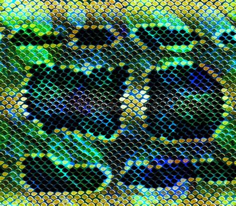 Python Traffic Stock Illustrations 9 Python Traffic Stock