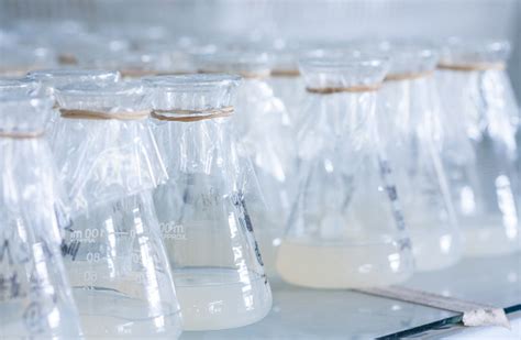 자연 약물 연구 유리 제품에서 천연 유기 및 과학 추출 대체 녹색 약초 실험실 및 개발 개념 스톡 사진 0명에 대한 스톡 사진 및 기타 이미지 Istock