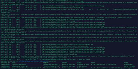 Script Server Down When File Not Found · Issue 138 · Webp Shwebpservergo · Github