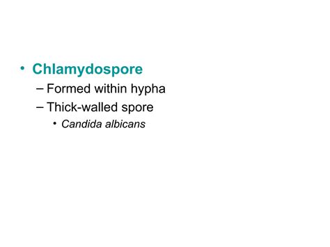 Troduction To Mycology Ppt Microbiology Ppt Gardening Home And Garden