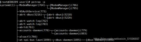 Linux操作系统（实操篇 Linux进程管理案例）09认识linux操作系统 教学案例 Csdn博客