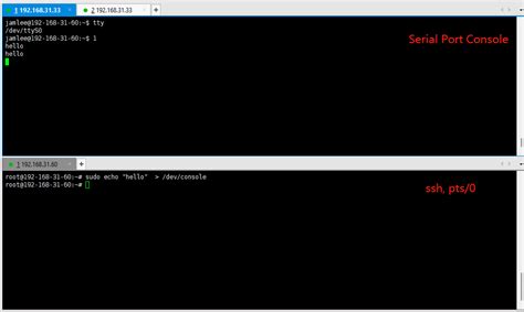 Perl What Is The Difference Between Writing To Stdout And A