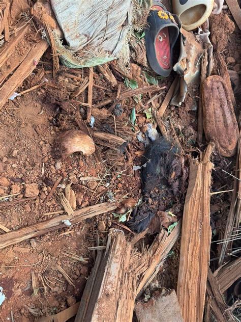 Mizzima News In Burmese ပုံအညွှန်း မတ်လ ၂၈ ရက် နောင်ချိုလေကြောင်းတိုက်ခိုက်ခံရမှု Facebook