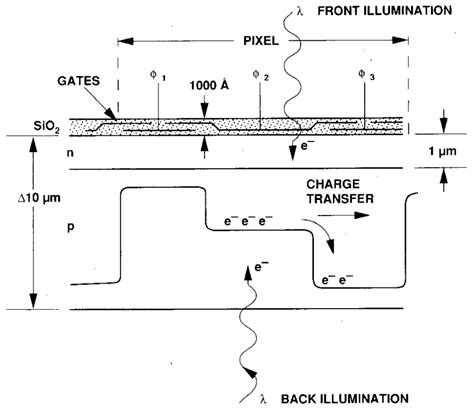 A Cross Section Comparing Front Illuminated And Back Thinned Ccd Download Scientific Diagram