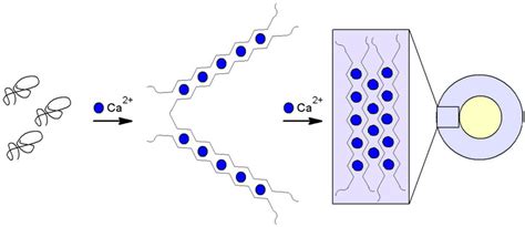 Representation Of The Structure Of Sodium Alginate Before And After