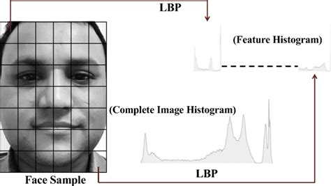Extraction Of Lbp Histogram From A Sample Facial Image Download