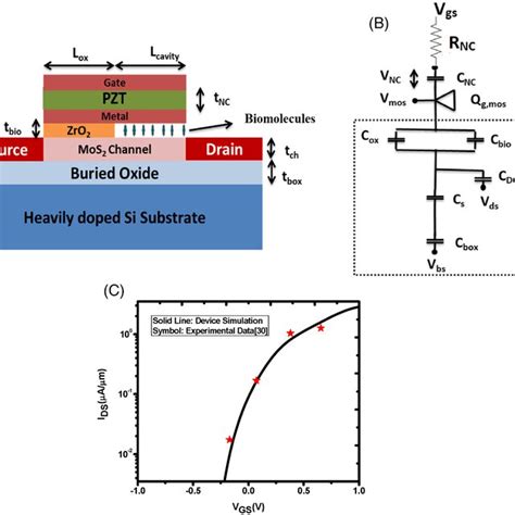 A 2d Cross‐sectional View Of Nc Mos2 Fet Biosensor B Equivalent Download Scientific
