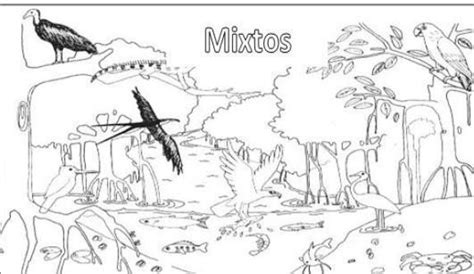Alguien Que Pase Una Imagen De Un Ecosistema Mixto Para Dibujar Doy