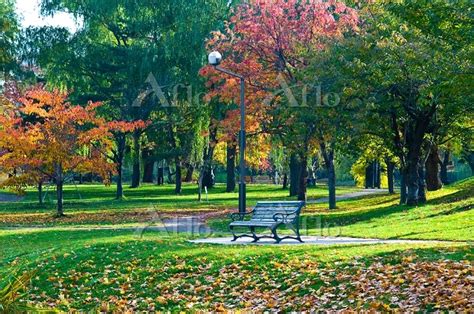 紅葉の公園 15307990 の写真素材 アフロ