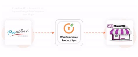 Connect Proactive Clothing Apis To Sync Products Into Woocommerce
