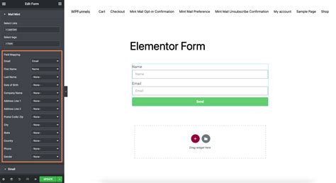 How To Use Elementor Form And Mail Mint To Collect Leads Wpfunnels