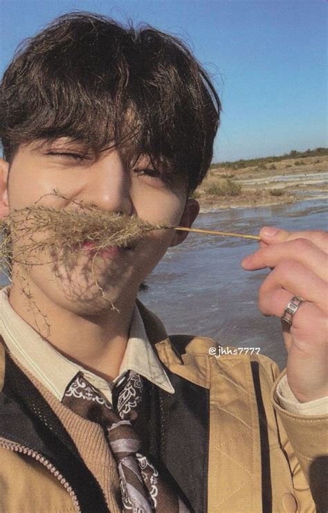 2️⃣ Scoups Facing The Sun Seventeen Scoups Ups Seventeen