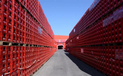 Proyecto Omnicanal De Coca Cola Femsa Suma Más De 80 Mil Clientes
