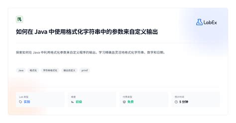 如何在 Java 中使用格式化字符串中的参数来自定义输出 Labex
