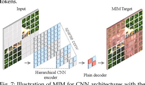Figure 7 From Masked Modeling For Self Supervised Representation Learning On Vision And Beyond