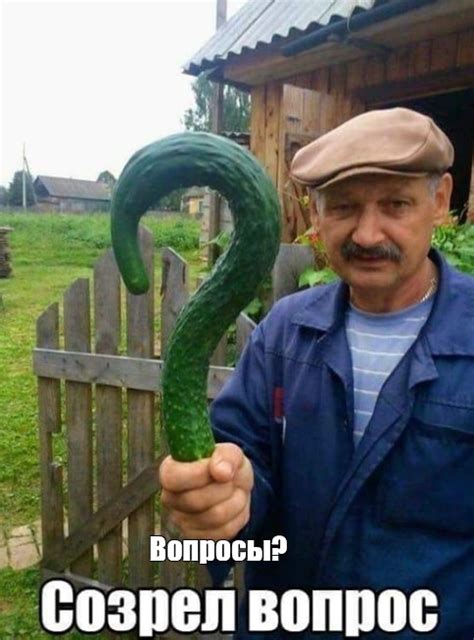 Мем Вопросы Все шаблоны Meme