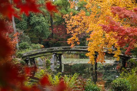 Kyoto Autumn Colors Best Spots — Genji Kyoto