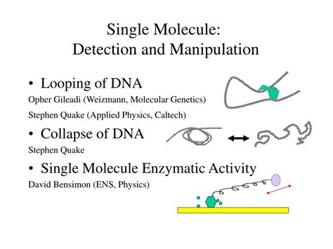Ppt Single Molecule Detection And Manipulation Powerpoint Presentation Id 4811178
