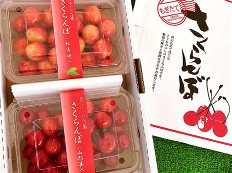 売り切れ おうちでさくらんぼ狩り佐藤錦や紅秀峰などおまかせ2品種食べ比べ 長野県産のその他さくらんぼ食べチョク産地直送 産直 お