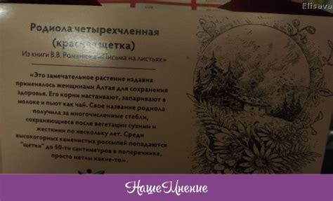 Отзывы Фиточай Enerwood Donna Bella Женское здоровье Дамский секрет ...