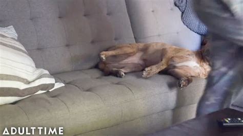 Seduced Me Into Some Sneaky Bang Out