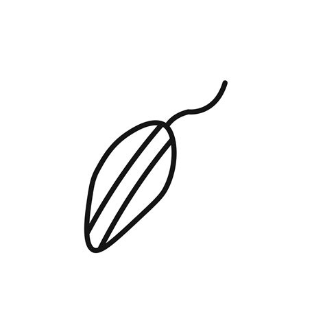 Shallots Icon Logo Sign Outline 47567843 Vector Art At Vecteezy