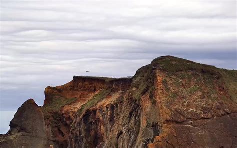 [第三期]面向人文社科的python文本分析及应用基础班 Gdfgfdgrgr Gdfgfdgrgr 哔哩哔哩视频