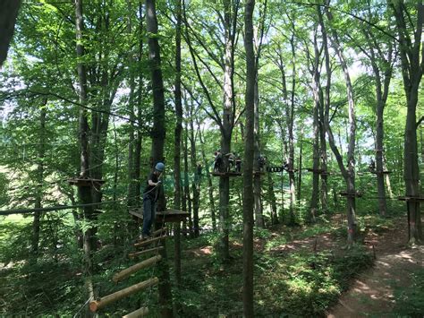 Lab Fun Day The Liberali Lab