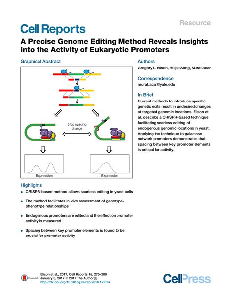 Solution A Precise Genome Editing Method Reveals Insights Into The Activity Of Eukaryotic