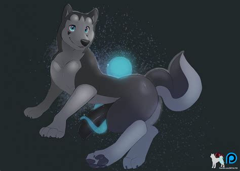 Rule 34 Akita Big Butt Big Penis Black Fur Black Penis Blue Eyes