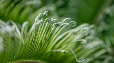 Mina Bilder On Behance