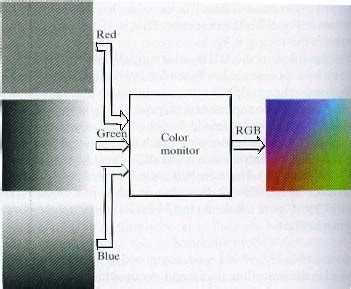 Generating The Rgb Image Download Scientific Diagram