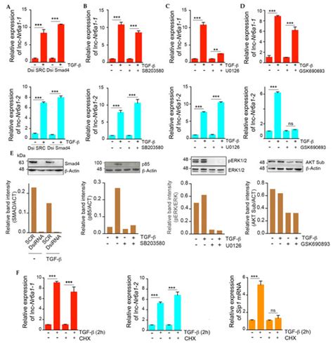 Non Coding Rna An Open Access Journal From Mdpi