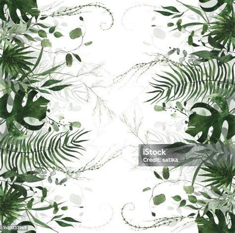 수채화 정글 이국적인 녹지 원활한 테두리 프레임 짙은 녹색 이국적인 야자 가지 몬스터 잎 고사리 나뭇 가지 0명에 대한 스톡 벡터 아트 및 기타 이미지 Istock