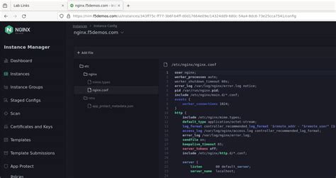 Understanding The Nginx Instance Manager Solution