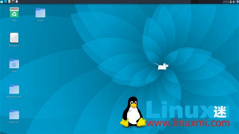 Whonix Linux实现终极在线匿名的关键 Linux迷