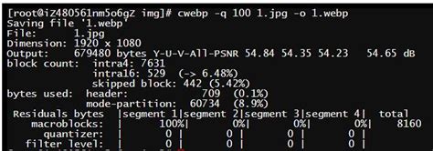 Nginxlualibwebp Implement Server Image Auto Conversion To Webp 半米牙
